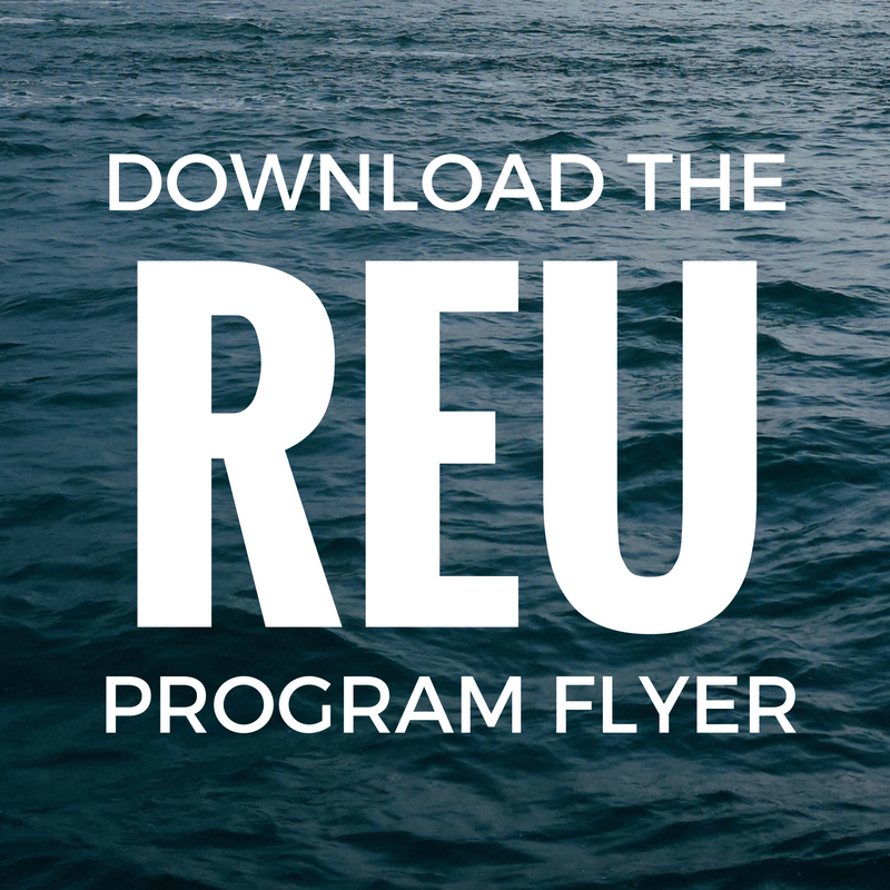 | REU
