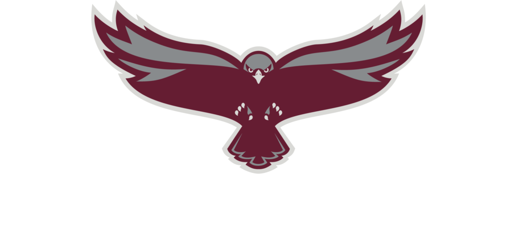 Information Technology | UMES