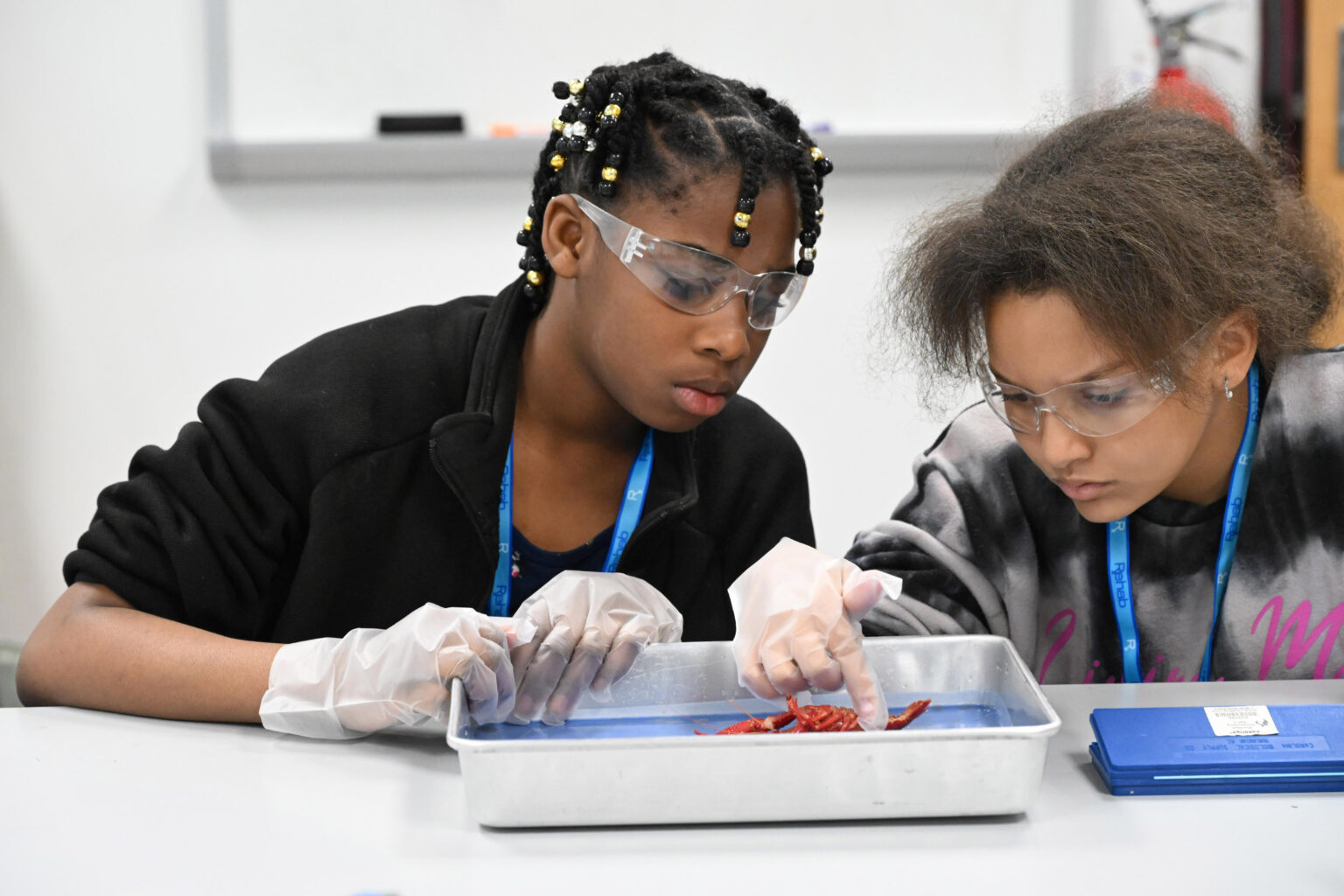 4-H Youth Development | UMES Extension