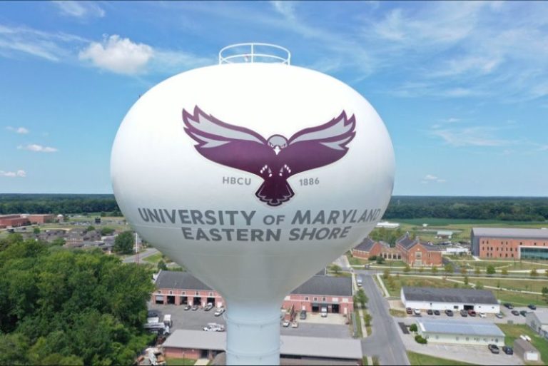 UMES unveils new logo, tagline as part of institutional rebrand ...