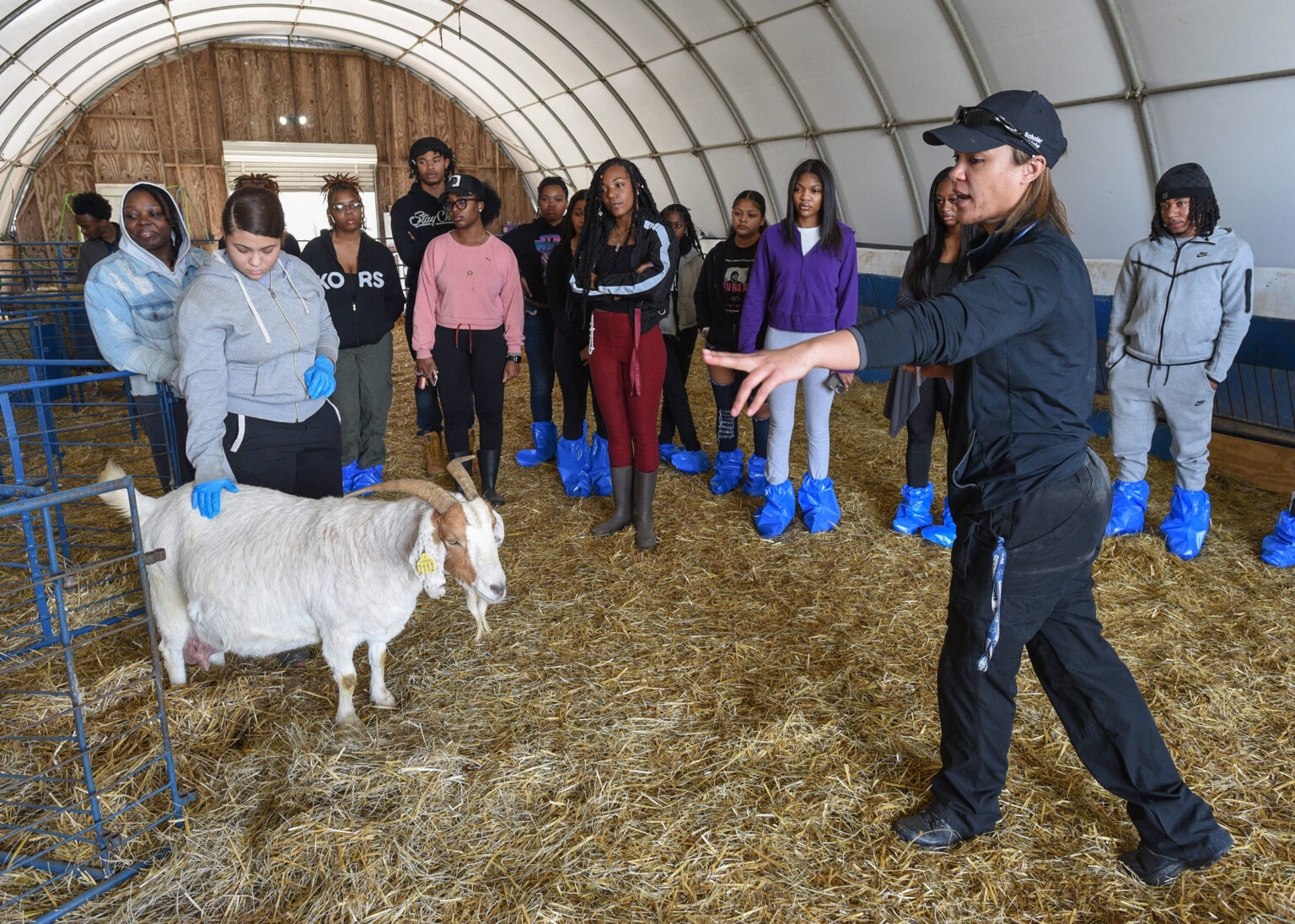 UMES vet school will be a first for Maryland and public HBCUs ...