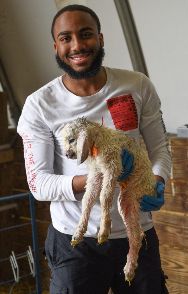 UMES vet school will be a first for Maryland and public HBCUs | Public ...