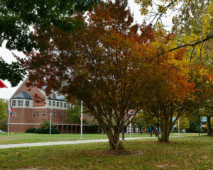 Central Receiving | Physical Plant